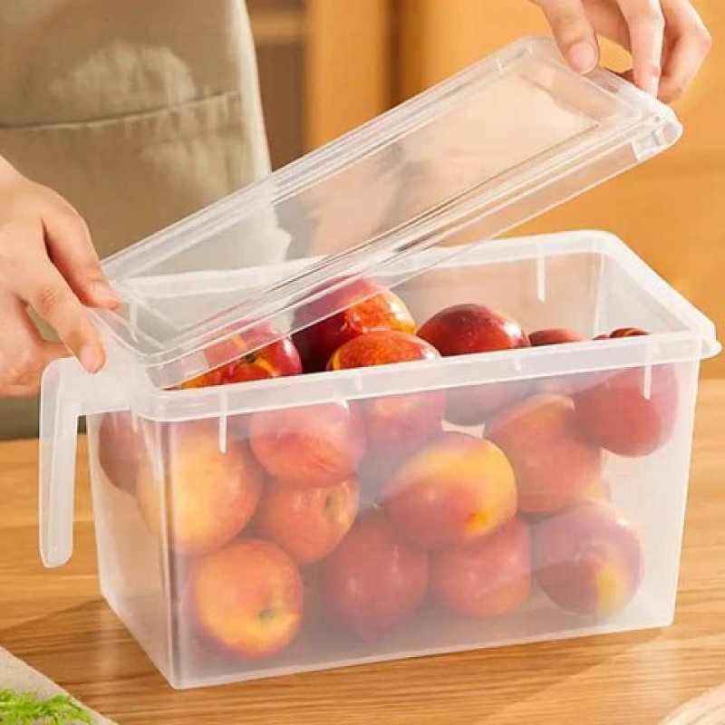 Kitchen Organizer Fridge Box | Adornia